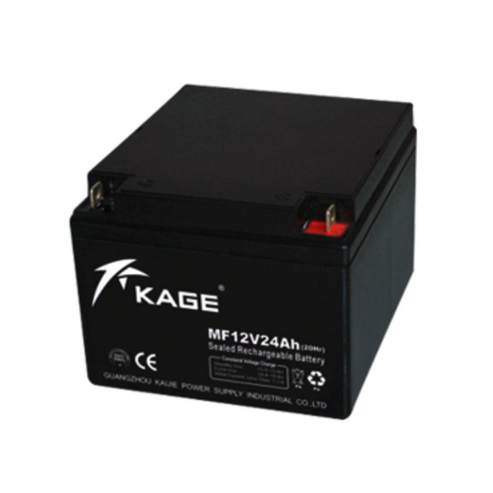 KAGE UPS BATTERY 12V24-A L175,W166,H125 – Carter Direct South Africa