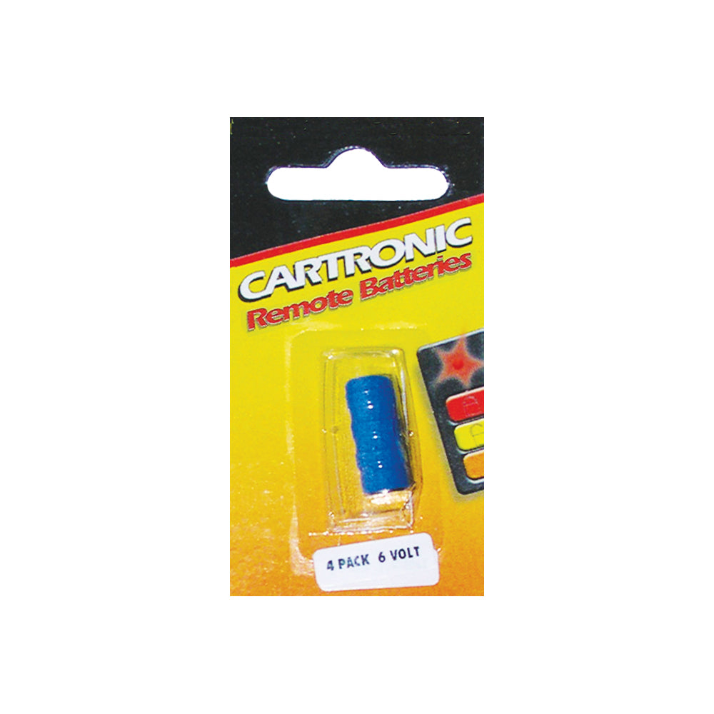 ELECTRONIC PACK 6V (JETTA ETC) – Carter Direct South Africa